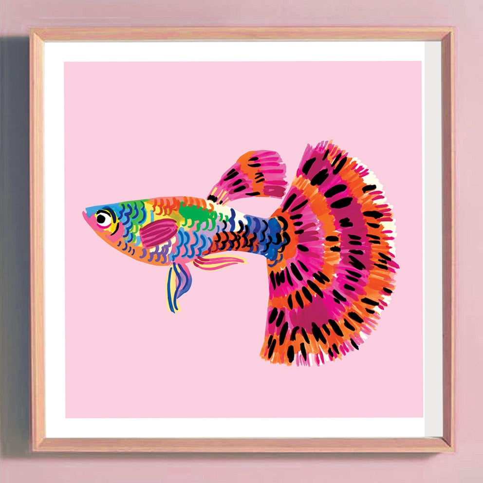 Pink Guppy