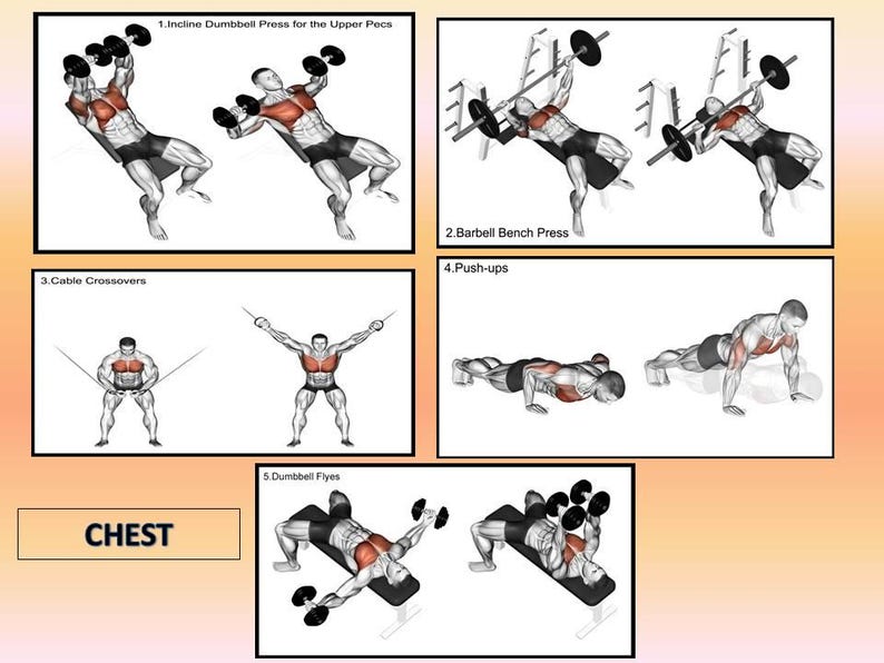 Bodybuilding Workout Plan, Equipment Demo -fitness Motivation-32 Images ...