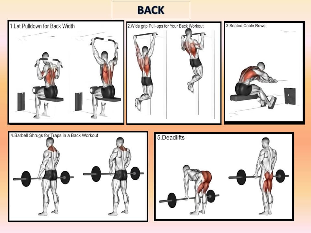 Bodybuilding Workout Plan, Equipment Demo -fitness Motivation-32 Images ...