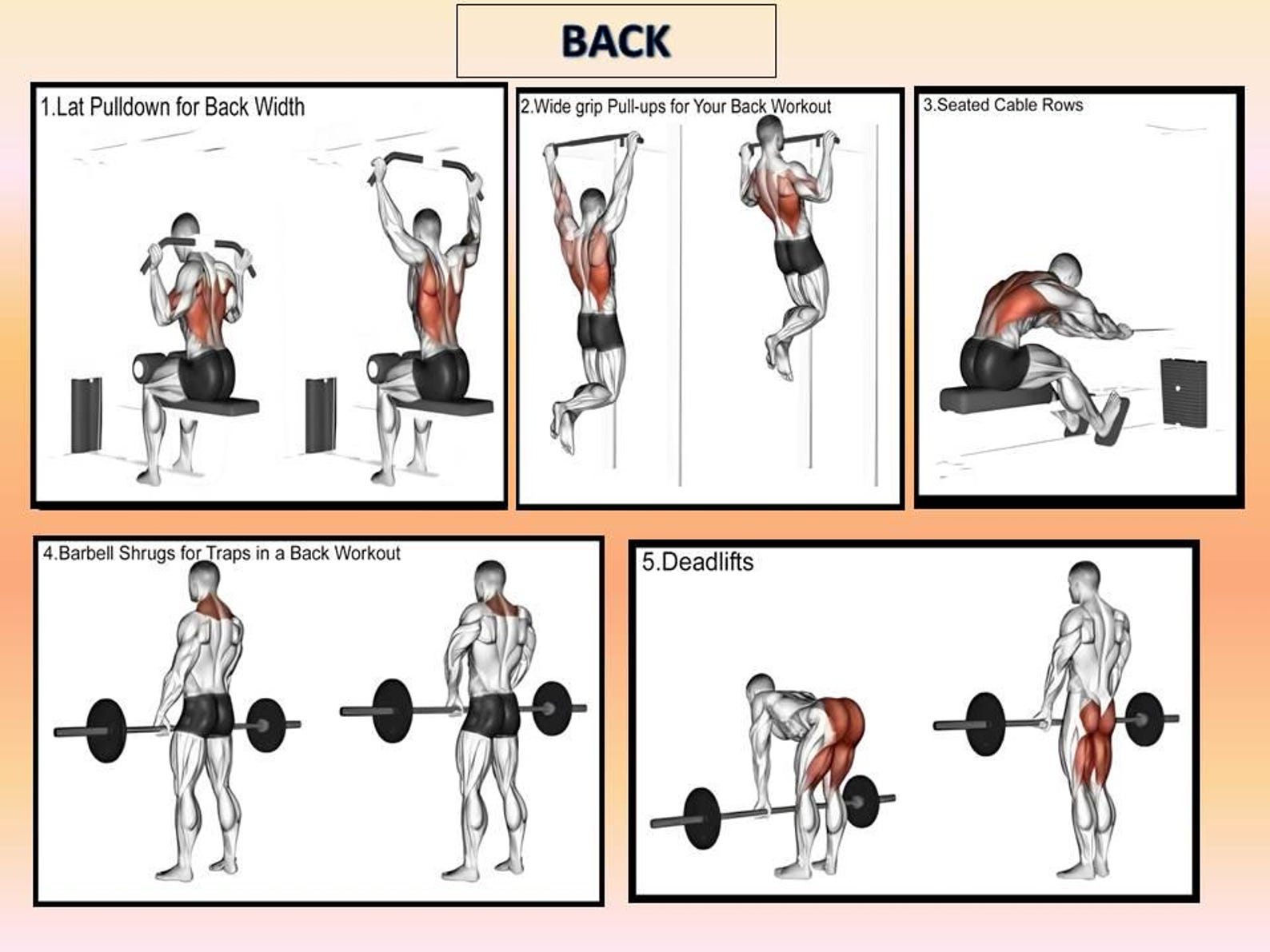 Bodybuilding Workout Plan, Equipment Demo -fitness Motivation-32 Images ...