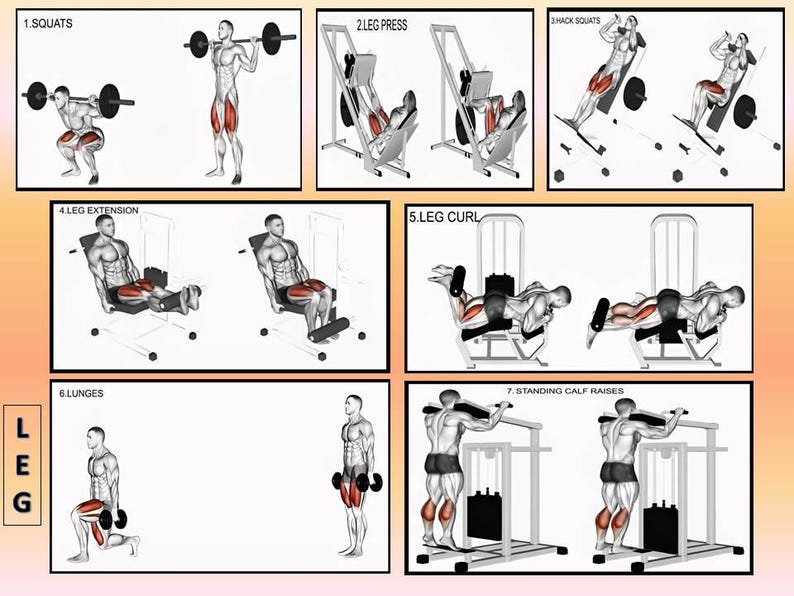 Bodybuilding Workout Plan, Equipment Demo -fitness Motivation-32 Images ...