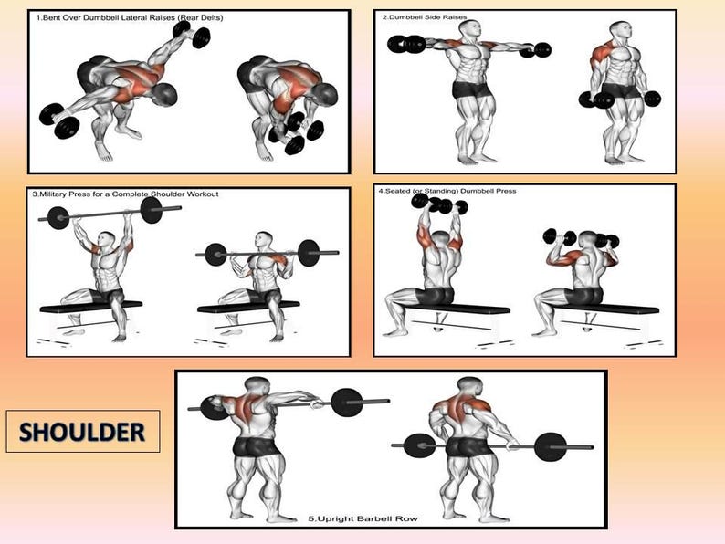 Bodybuilding Workout Plan, Equipment Demo -fitness Motivation-32 Images ...