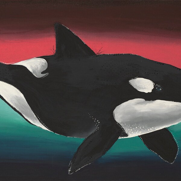 Shamu - Etsy