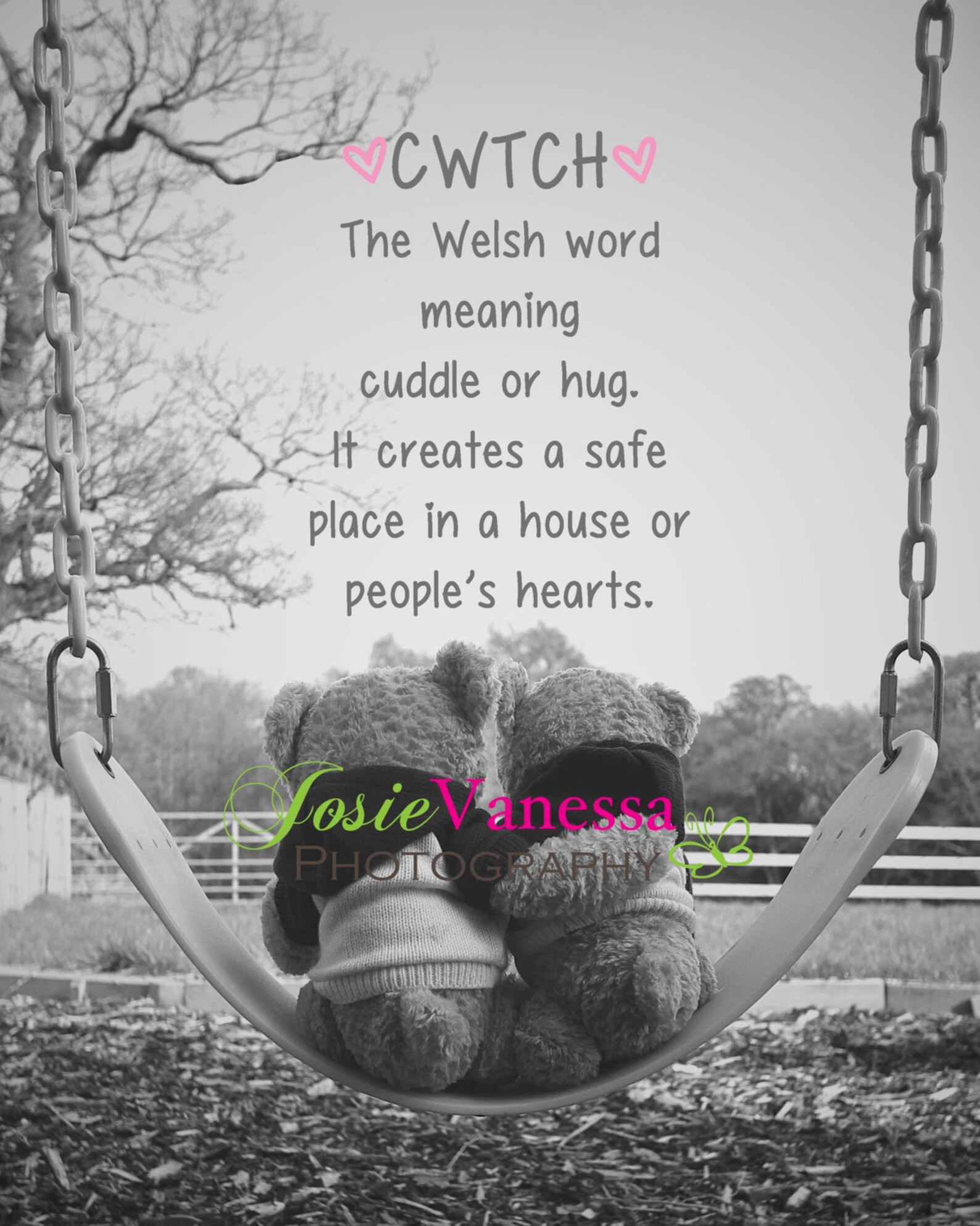 Cwtch Welsh Quote Teddy Photography Art Print and Blank - Etsy UK