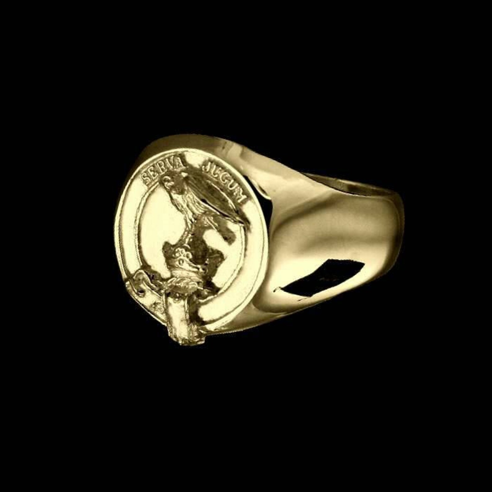 Clan Hay Crest Men's Signet Ring - Etsy