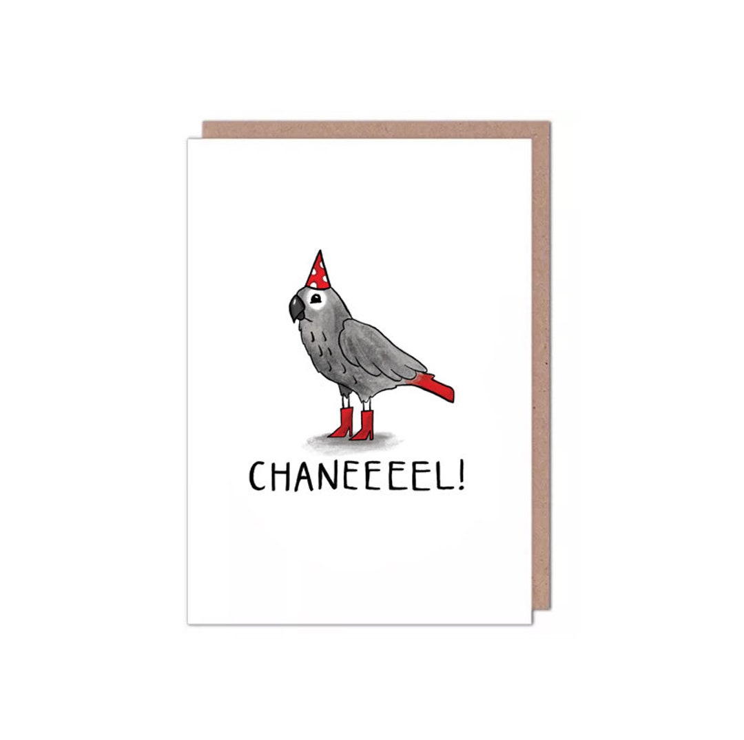 Chanel - African Grey Parrot - Queen of the Canal - Birthday ...