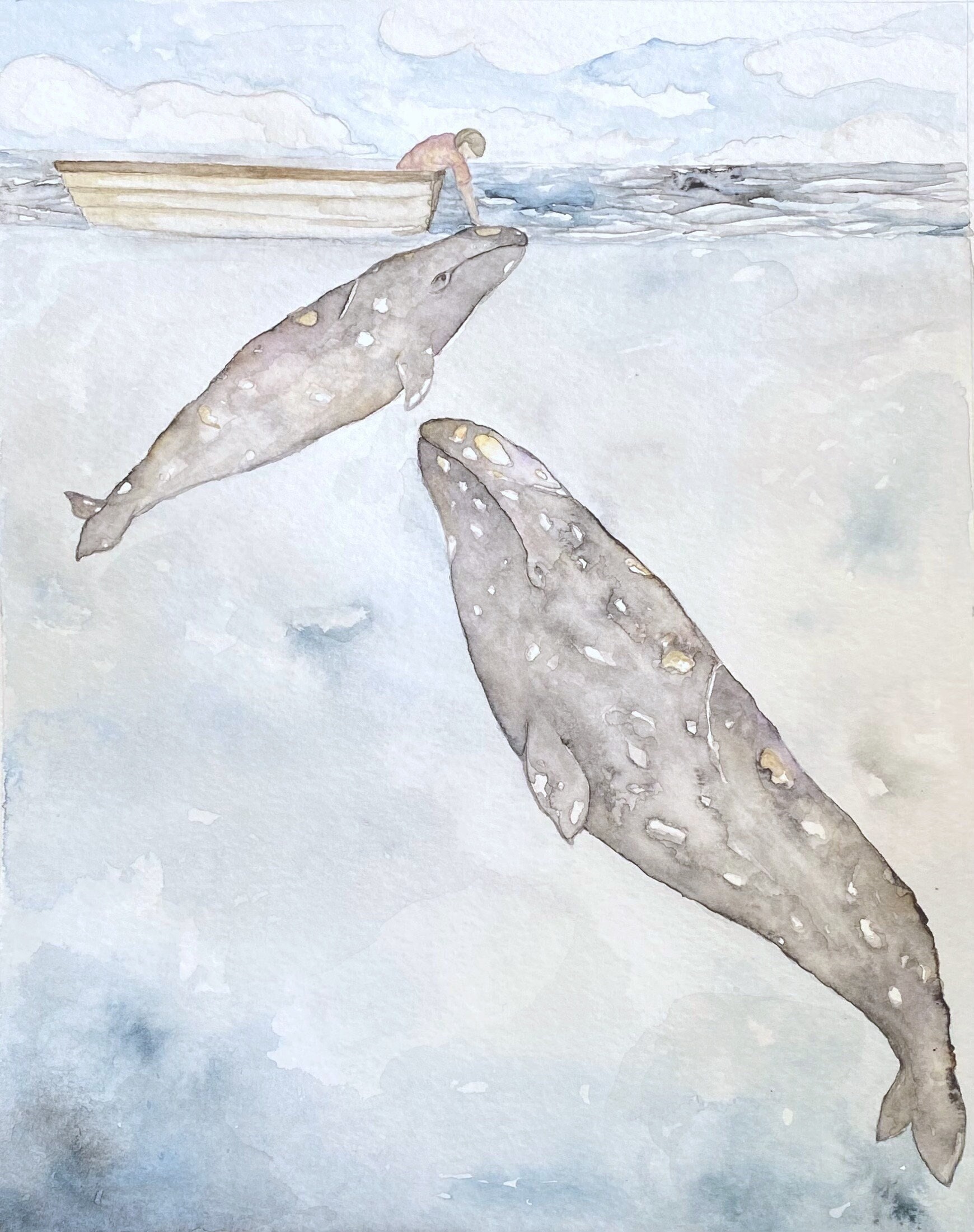 Gray Whale Friends - Etsy