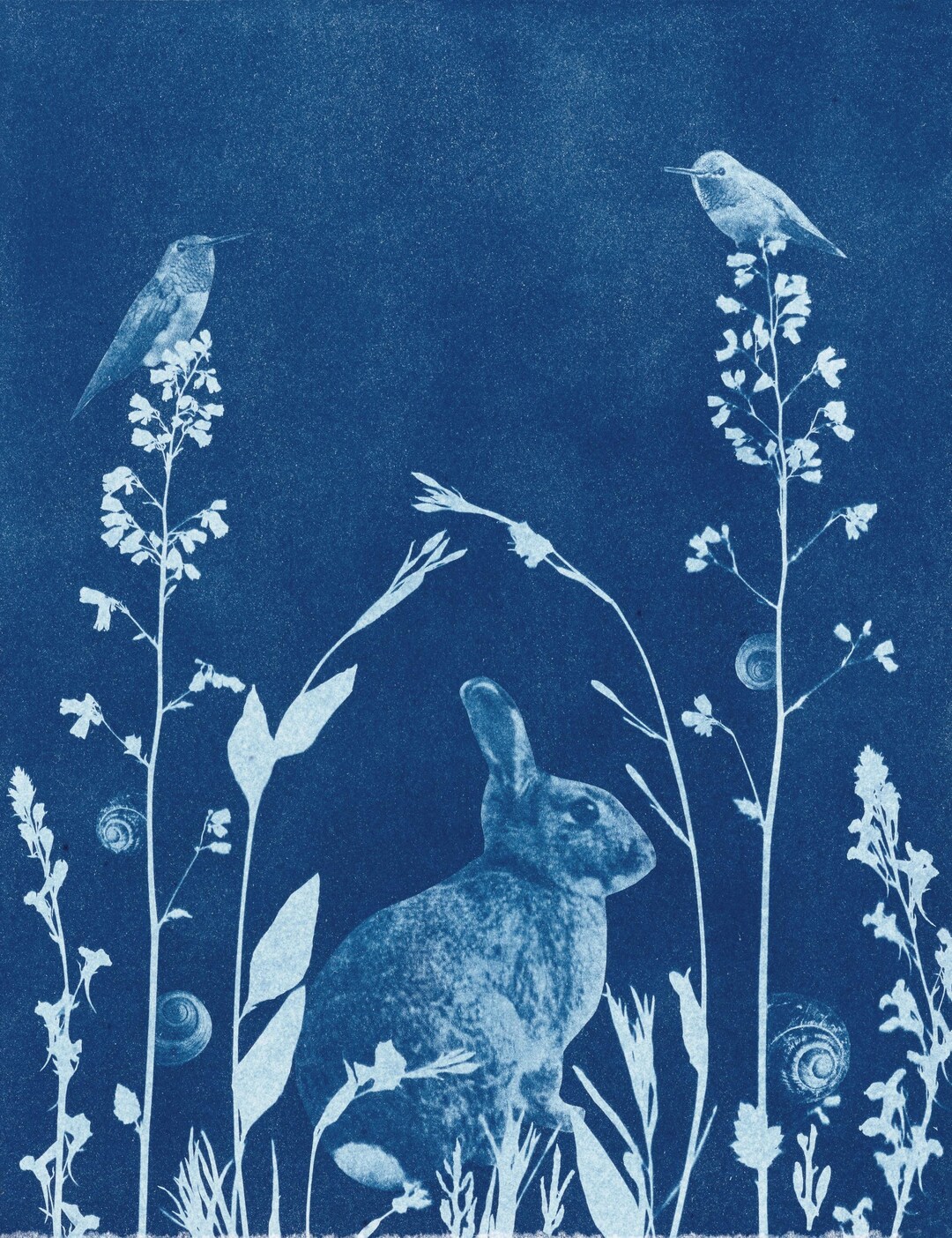 SKYWATCHERS Botanical Cyanotype Print, Bunny, Birds, Plants, Flowers ...