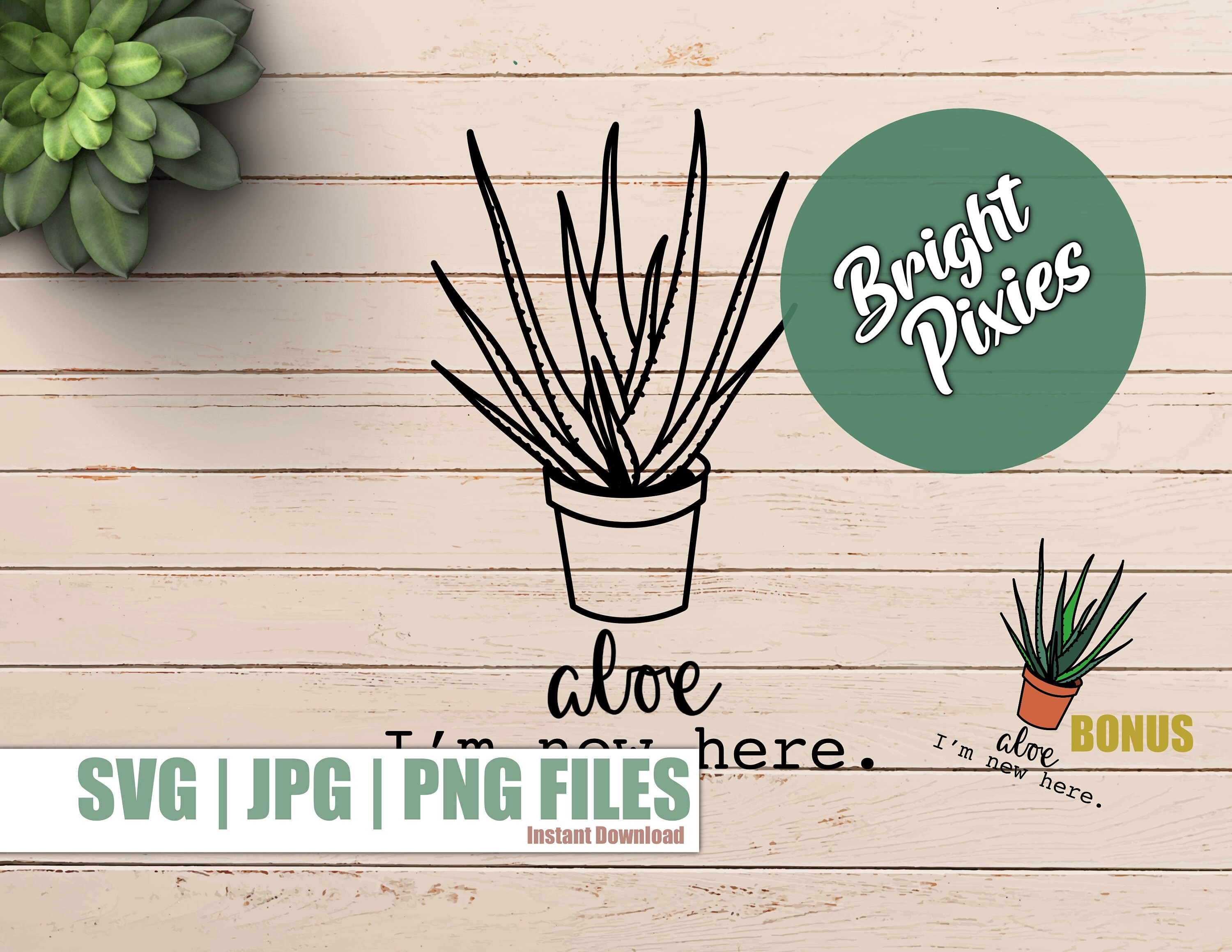 Aloe Im New Here Svg, Aloe Clipart, Cricut Cutting File, Svg for Baby ...
