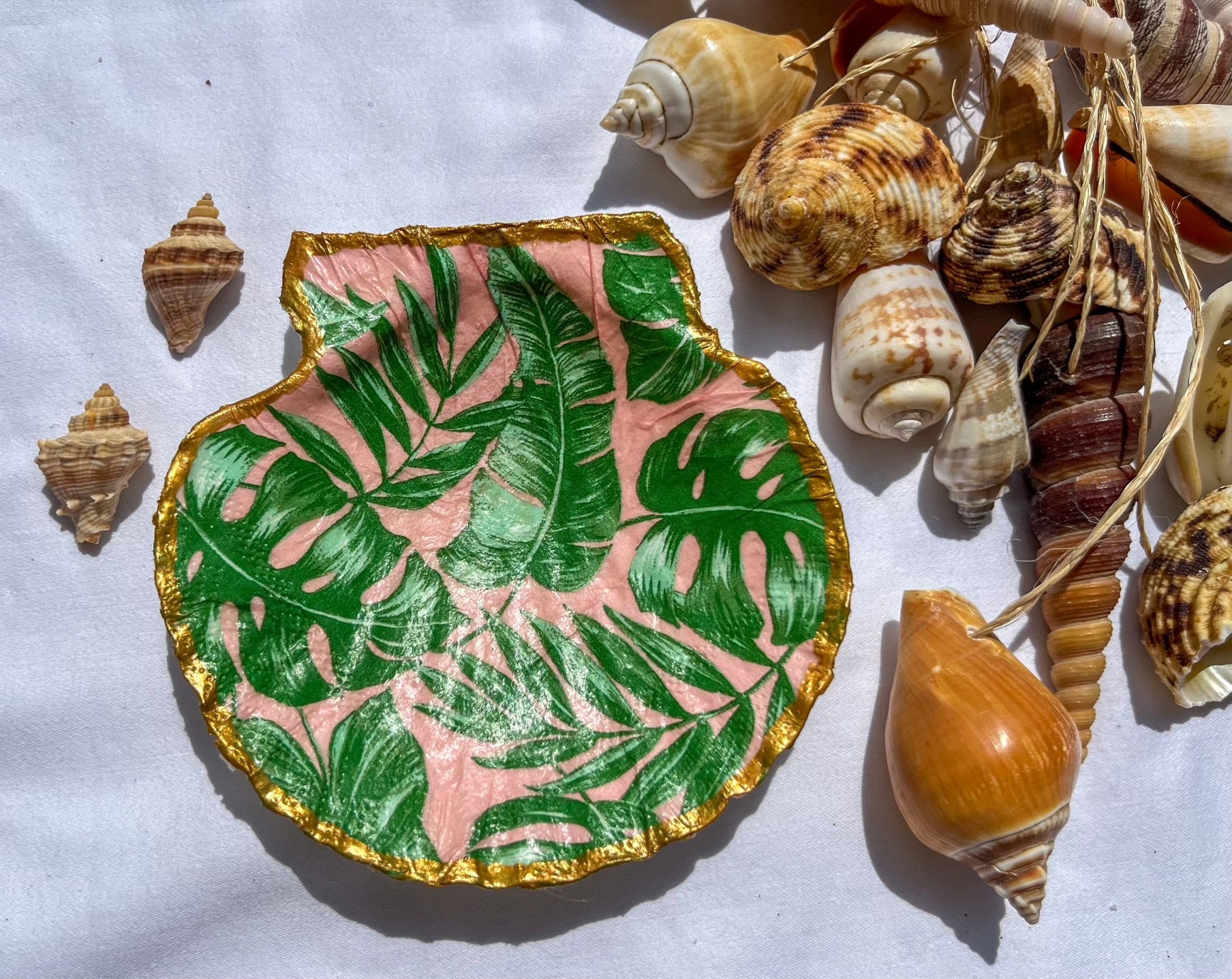 Scallop Shell Dish - Etsy