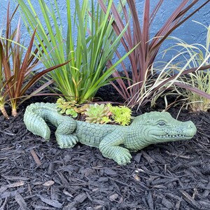 Alligator Succulent Planter Pot: Whimsical Ceramic Indoor Decoration - Etsy