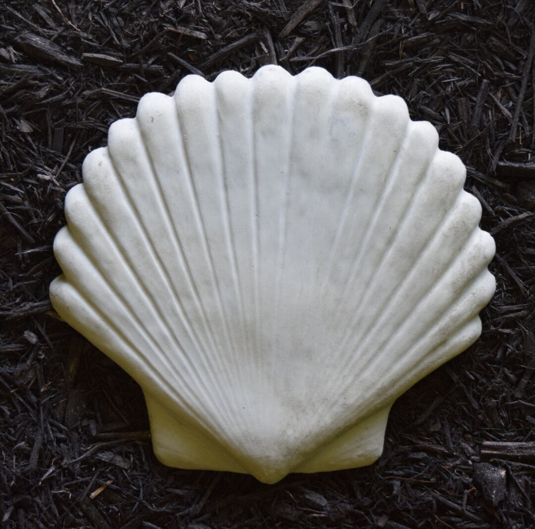 Concrete Shell Stepping Stone for Garden Shell Stepping Stone for Beach ...