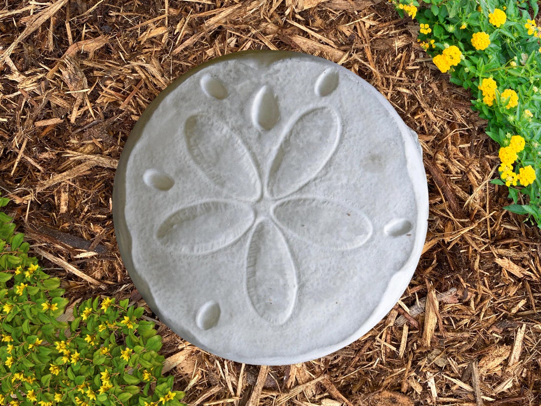 Concrete Sand Dollar Stepping Stone Sand Dollar Statue for Beach Garden Stepping Stone for ...