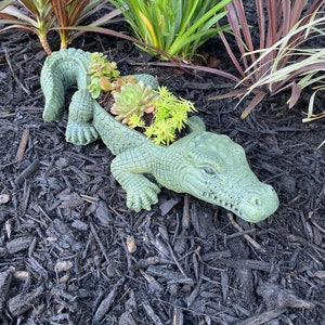 Alligator Succulent Planter Pot: Whimsical Ceramic Indoor Decoration - Etsy