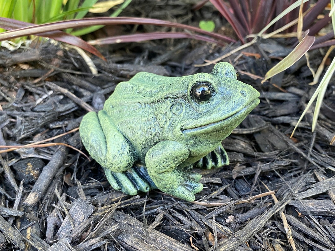 Small Frog Statue of Small Toad Statue of Small Frog - Etsy