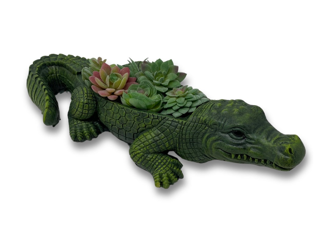 Alligator Succulent Planter Pot: Whimsical Ceramic Indoor Decoration - Etsy