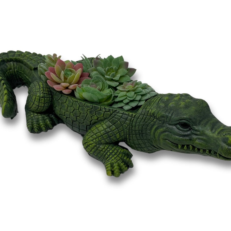 Alligator Planter - Etsy