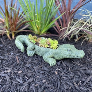 Alligator Succulent Planter Pot: Whimsical Ceramic Indoor Decoration - Etsy