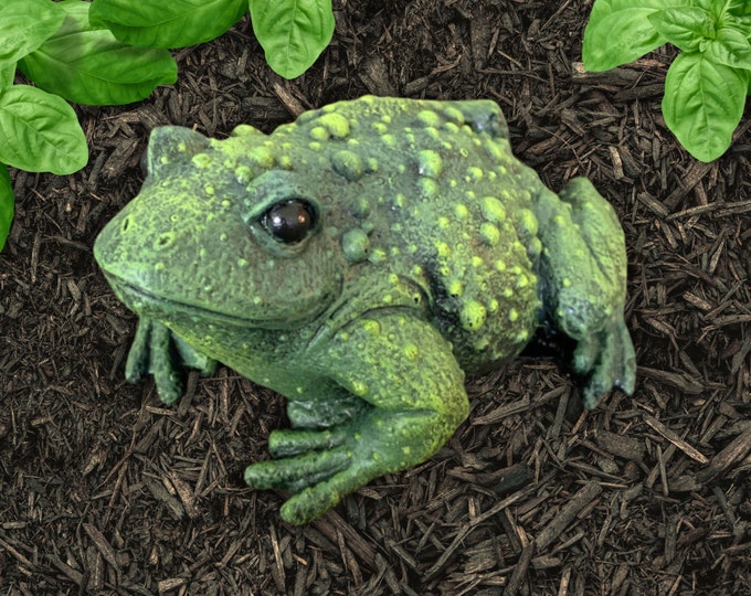 Flies Cream Frog Art Print Original Wall Hanging Cute Frog Art Mother ...