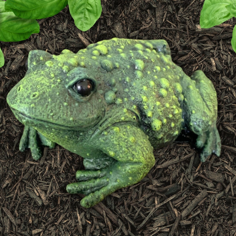 Garden Frogs - Etsy