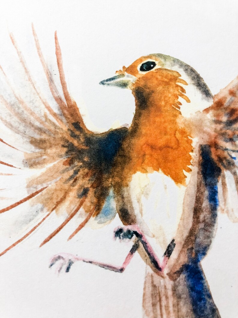 Watercolor European Robin in Flight Print Bird Art Robin Red - Etsy