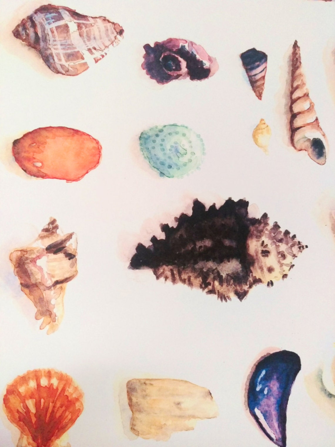 Sea Shells Watercolor Print Beach Art Nautical Painting - Etsy