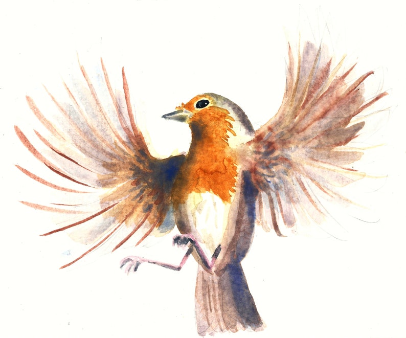 Watercolor European Robin in Flight Print Bird Art Robin Red - Etsy