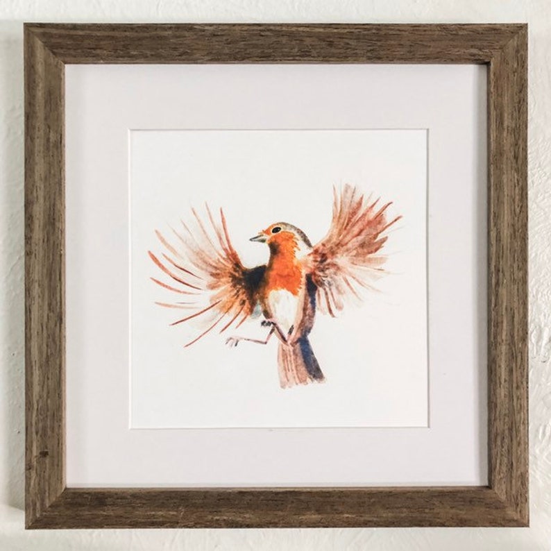 Watercolor European Robin in Flight Print Bird Art Robin Red - Etsy