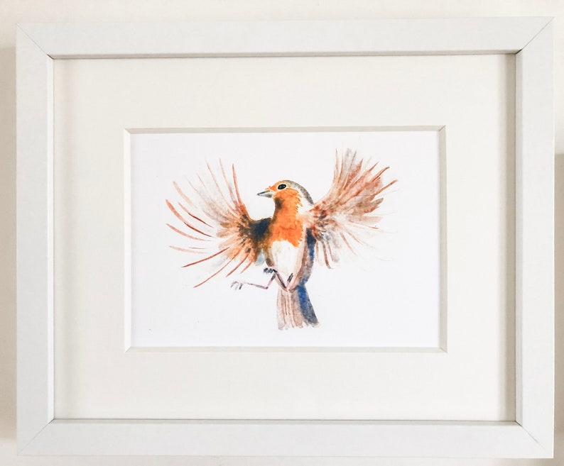 Watercolor European Robin in Flight Print Bird Art Robin Red - Etsy