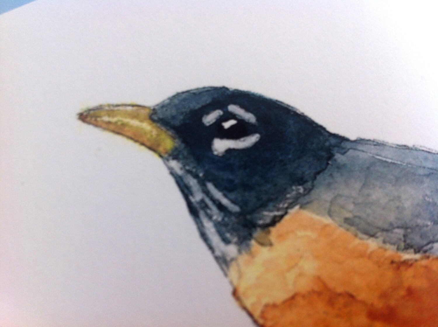 Watercolor Robin Print bird art robin painting robin red | Etsy