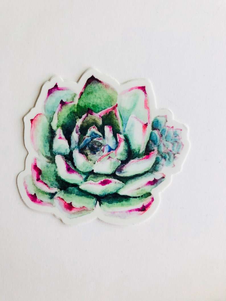 Succulent Sticker Vinyl Succulent Watercolor Sticker - Etsy