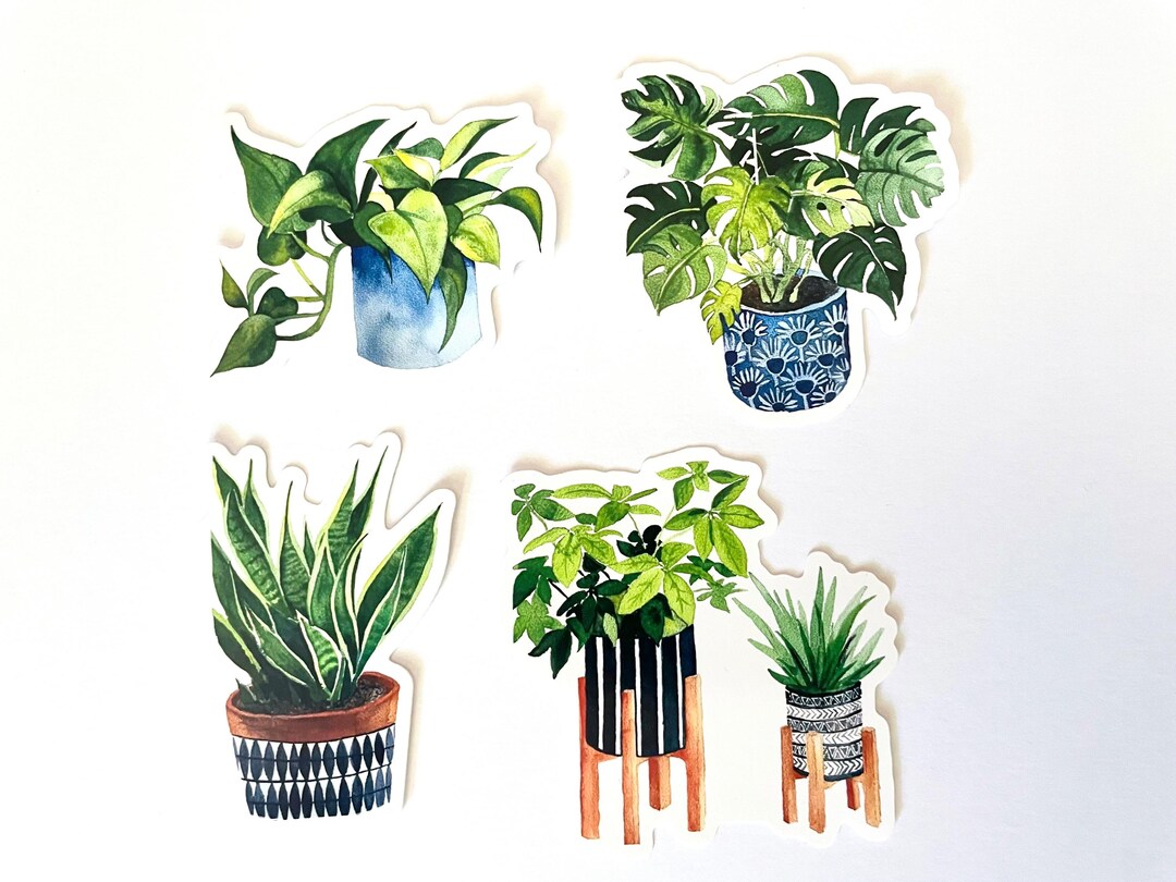 House Plant Stickers, Set of 4 - Etsy