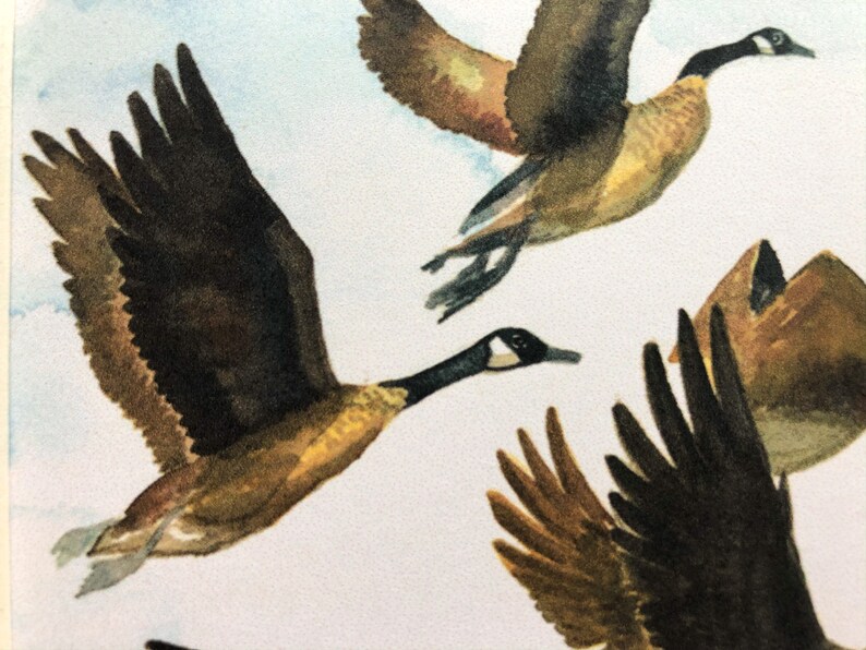 Canada Geese in Flight Watercolor Painting - Etsy