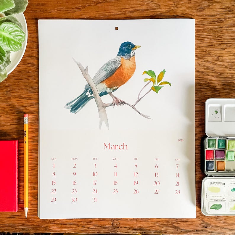 Large 2026 Watercolor Birds Calendar, 11 X 14 Art Calendar - Etsy