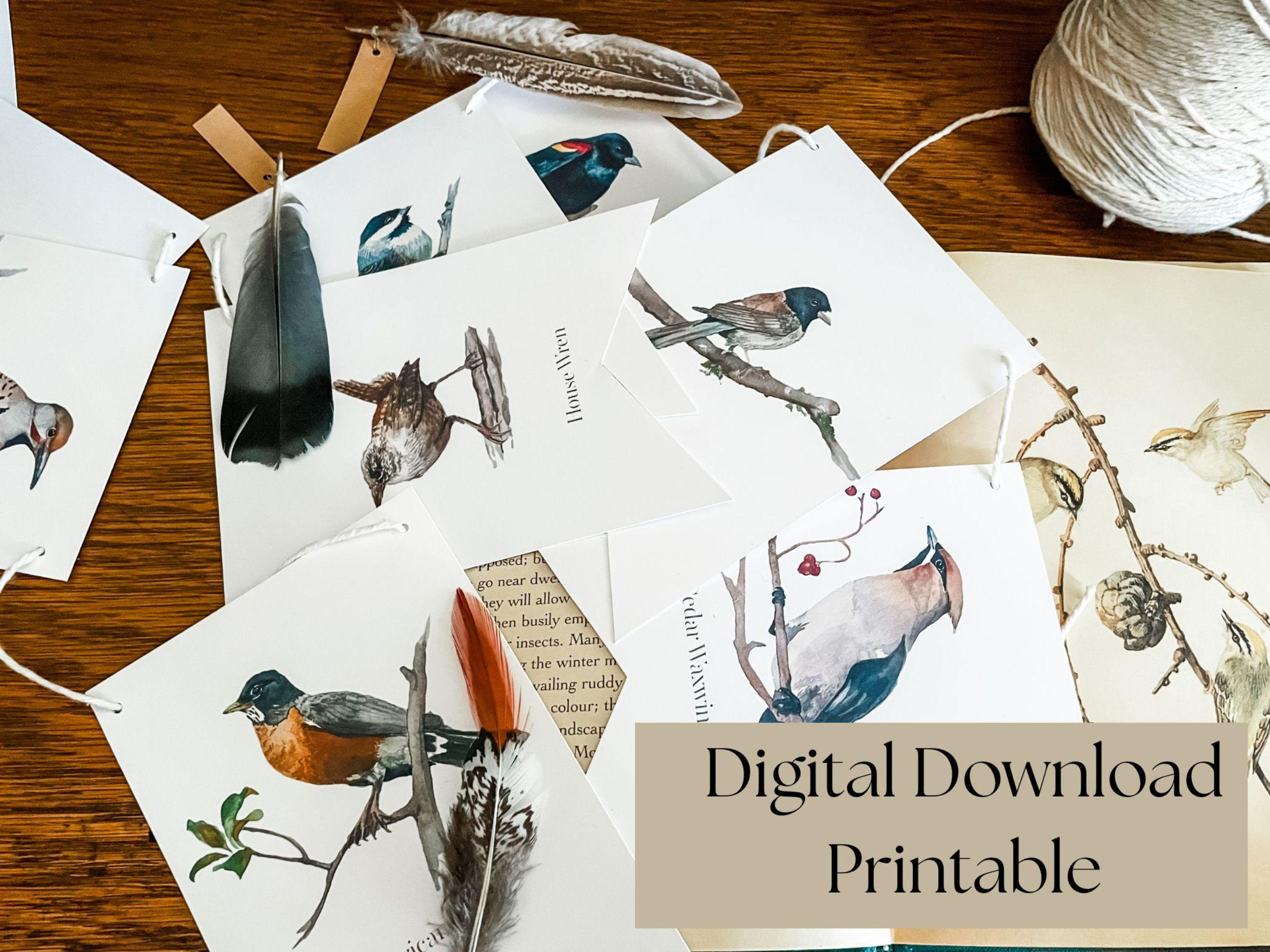 Printable Watercolor Birds Banner Garland Bunting Flags, Set of 11 ...