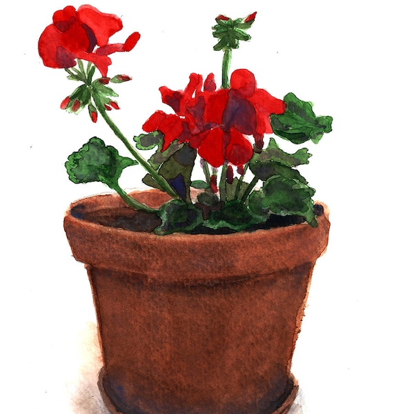 Geranium Print - Etsy