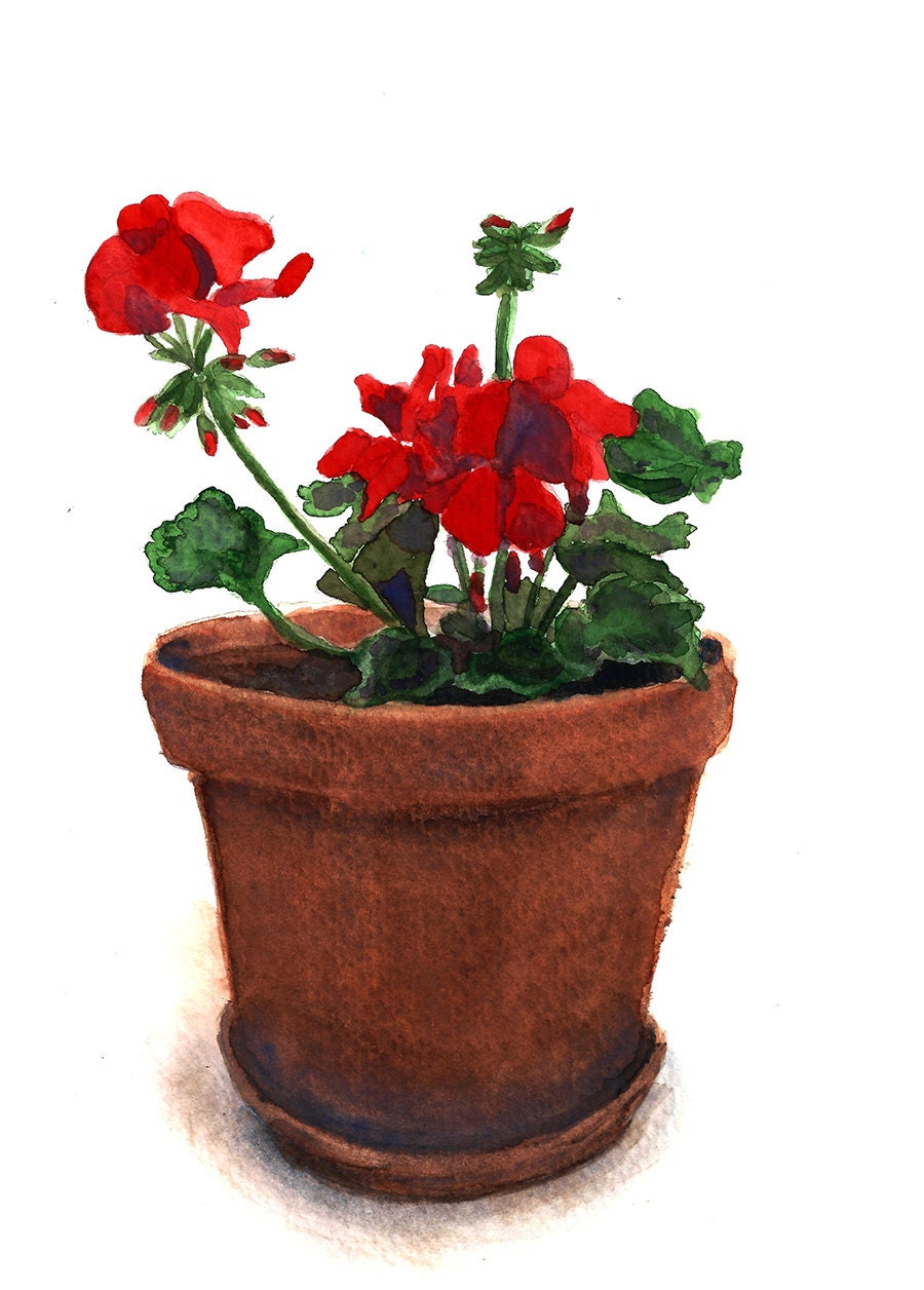 Watercolor Red Geraniums Print Floral Art Nature Art Wall | Etsy