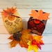 Thanksgiving Favors, Friendsgiving Treats, Thanksgiving Place Setting ...