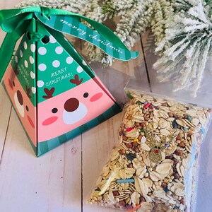 Santa’s Magic Reindeer Food, Magic Reindeer Food, Reindeer Food ...