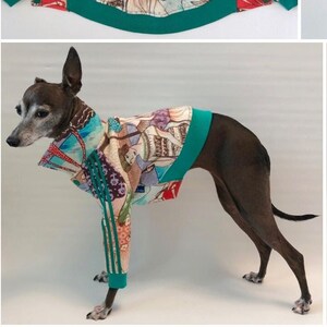 Italian Greyhound Apparel;track Jacket - Etsy