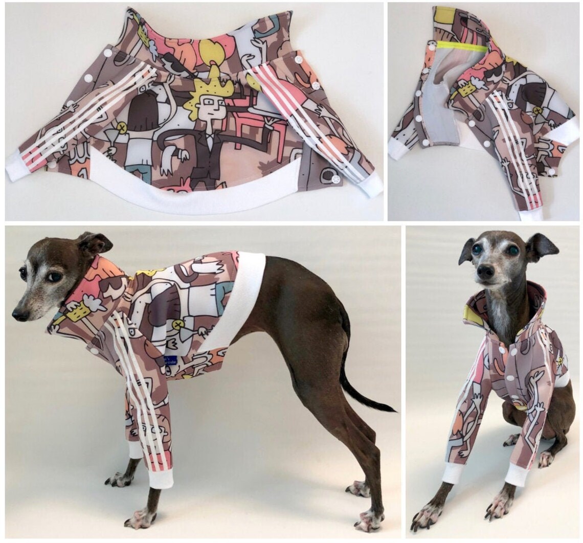 Italian Greyhound Appareltrack Jacket | Etsy
