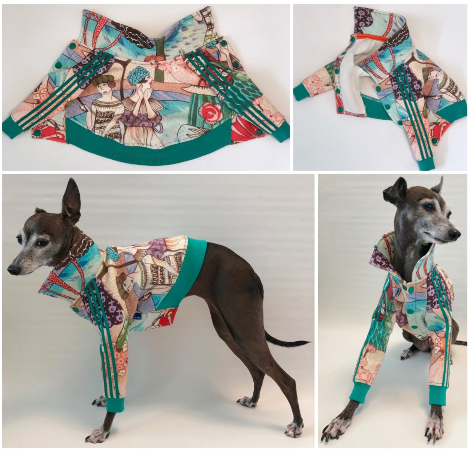 Italian Greyhound Appareltrack Jacket | Etsy
