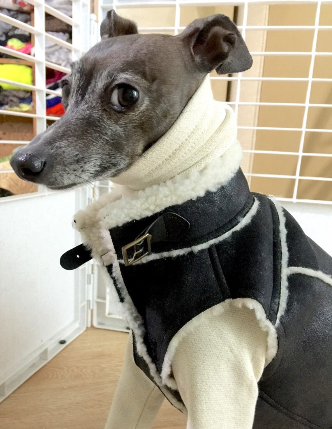 Italian Greyhound Apparel-faux Suede Vest - Etsy