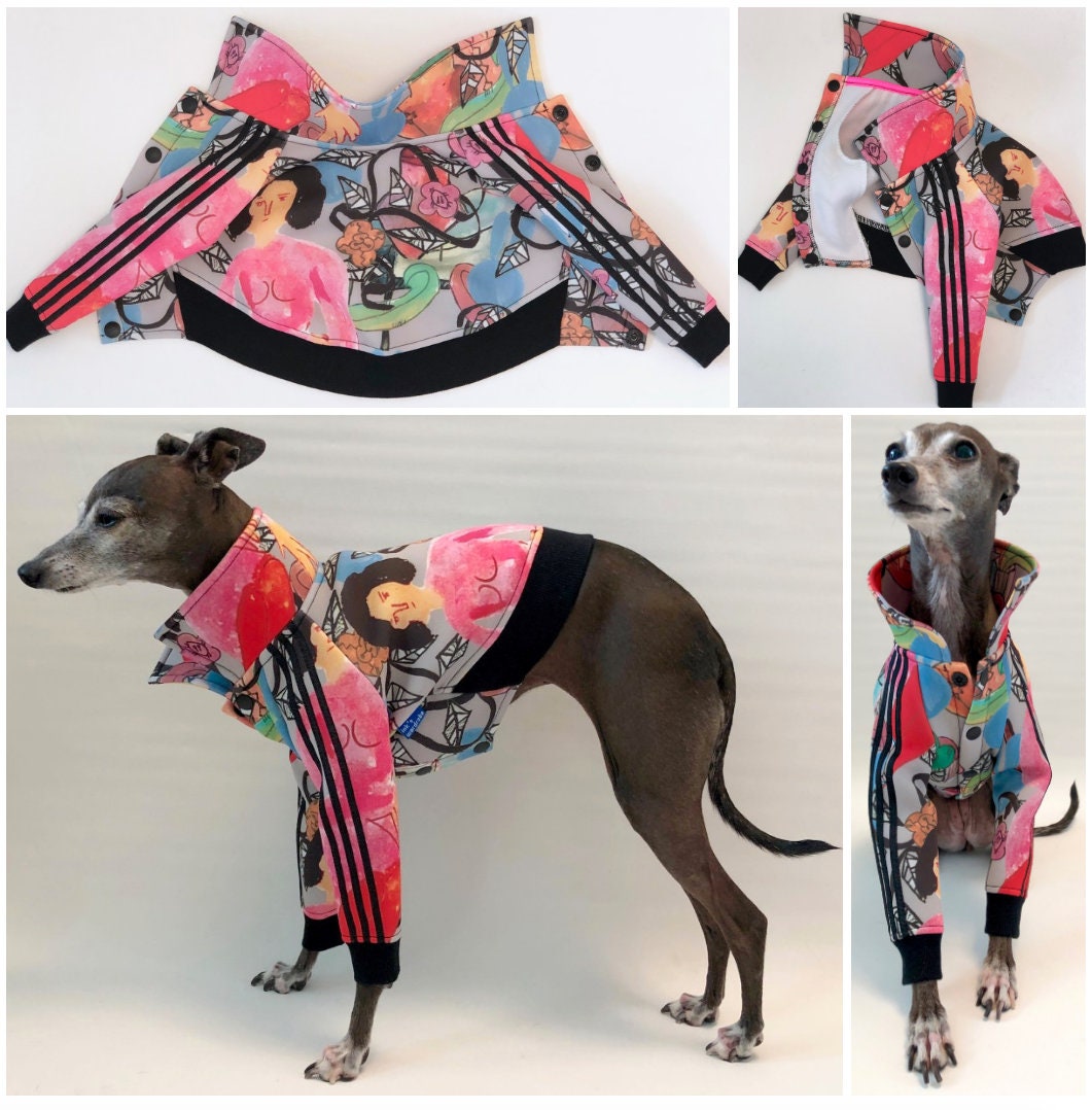 Italian Greyhound Apparel;track Jacket - Etsy