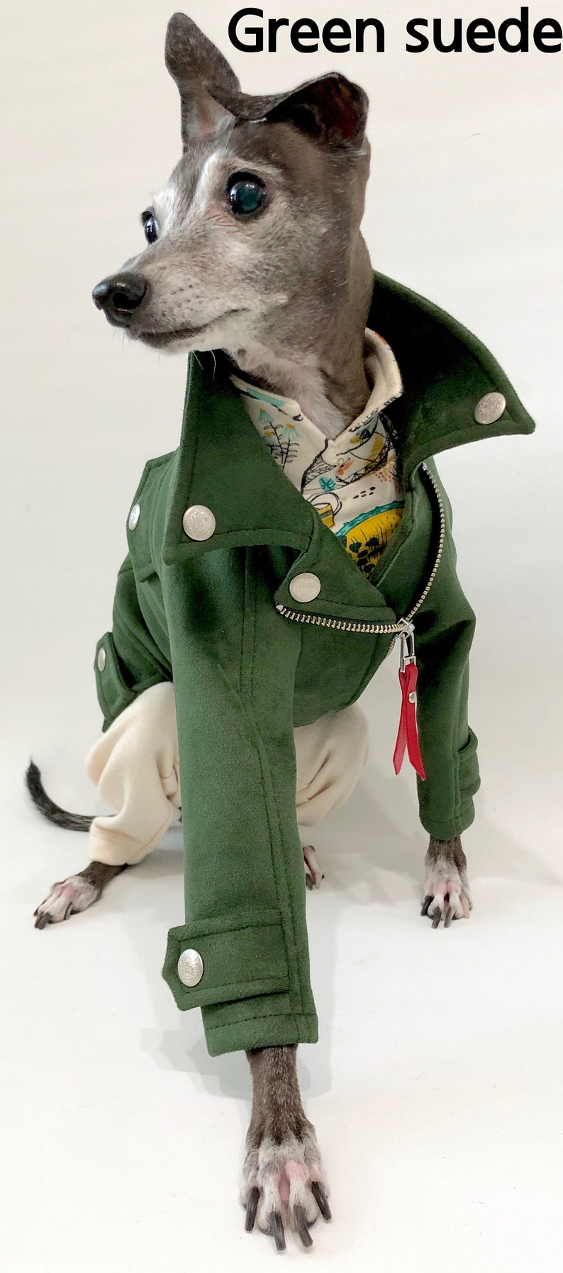 Italian Greyhound Apparel-biker Jacket - Etsy