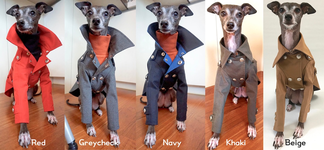 Italian Greyhound Appareltrench Coat - Etsy