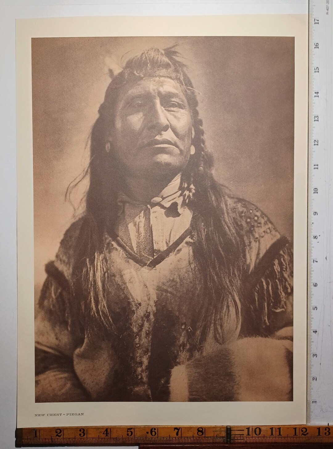 Blackfoot Large Original Engraving Piegan Tribe Native American Plains ...