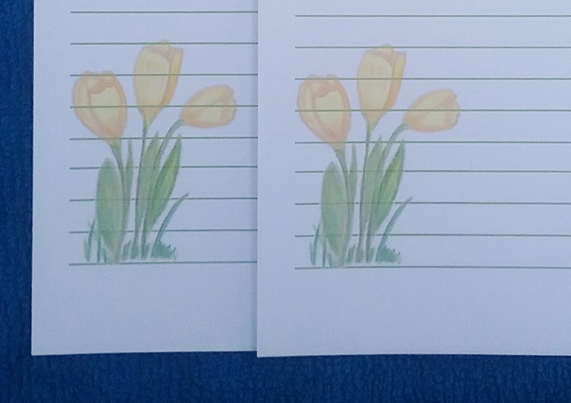 Tulip Lined Stationery Letter Sheets / Yellow Tulip Lined | Etsy