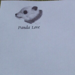 Panda Stationery Letter Sheets / Panda Writing Paper / Art - Etsy