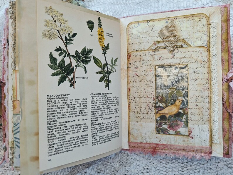 Journal, Botanical Journal - Etsy